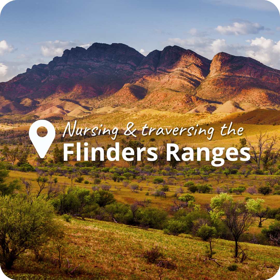 Agency Jobs | South Australia - Affinity Nursing